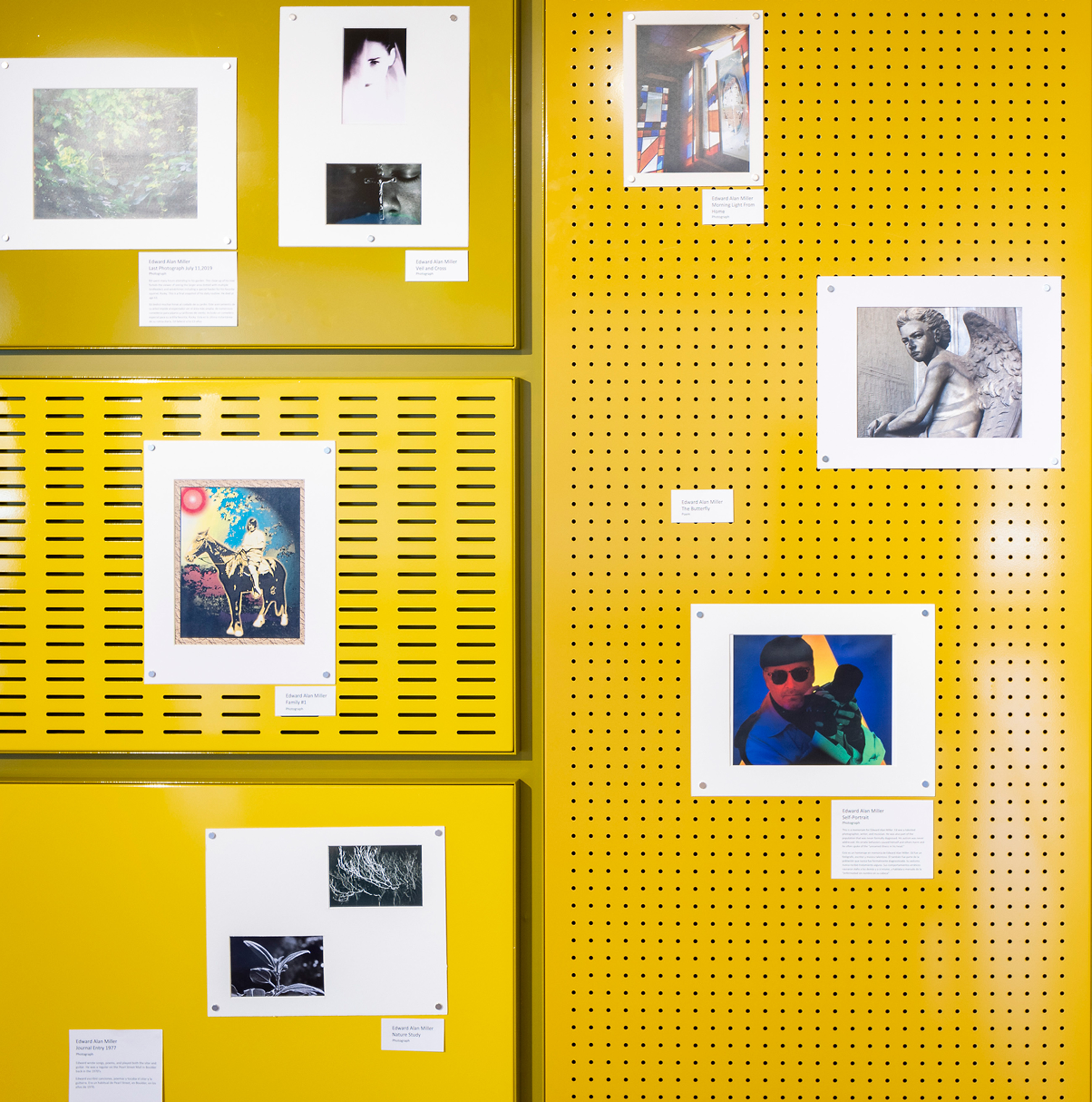 Community Spotlight: Youth Artists on the Spectrum | Denver Art Museum