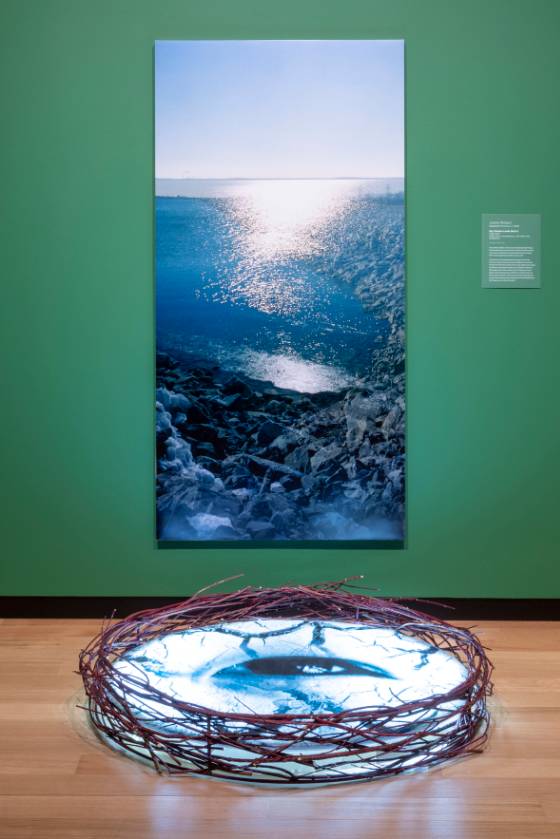 Speaking With Light Access Guide Indigenous Visualities | Denver Art Museum