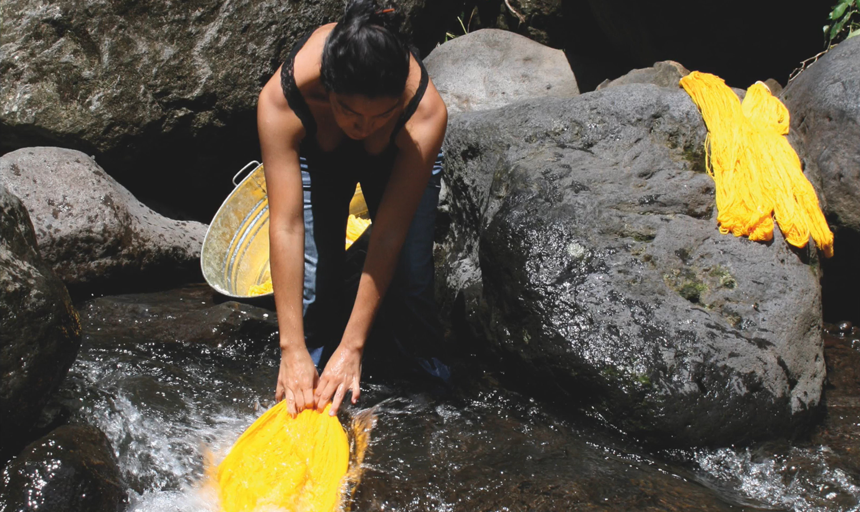 Logan Lecture: Sandra Monterroso | Denver Art Museum