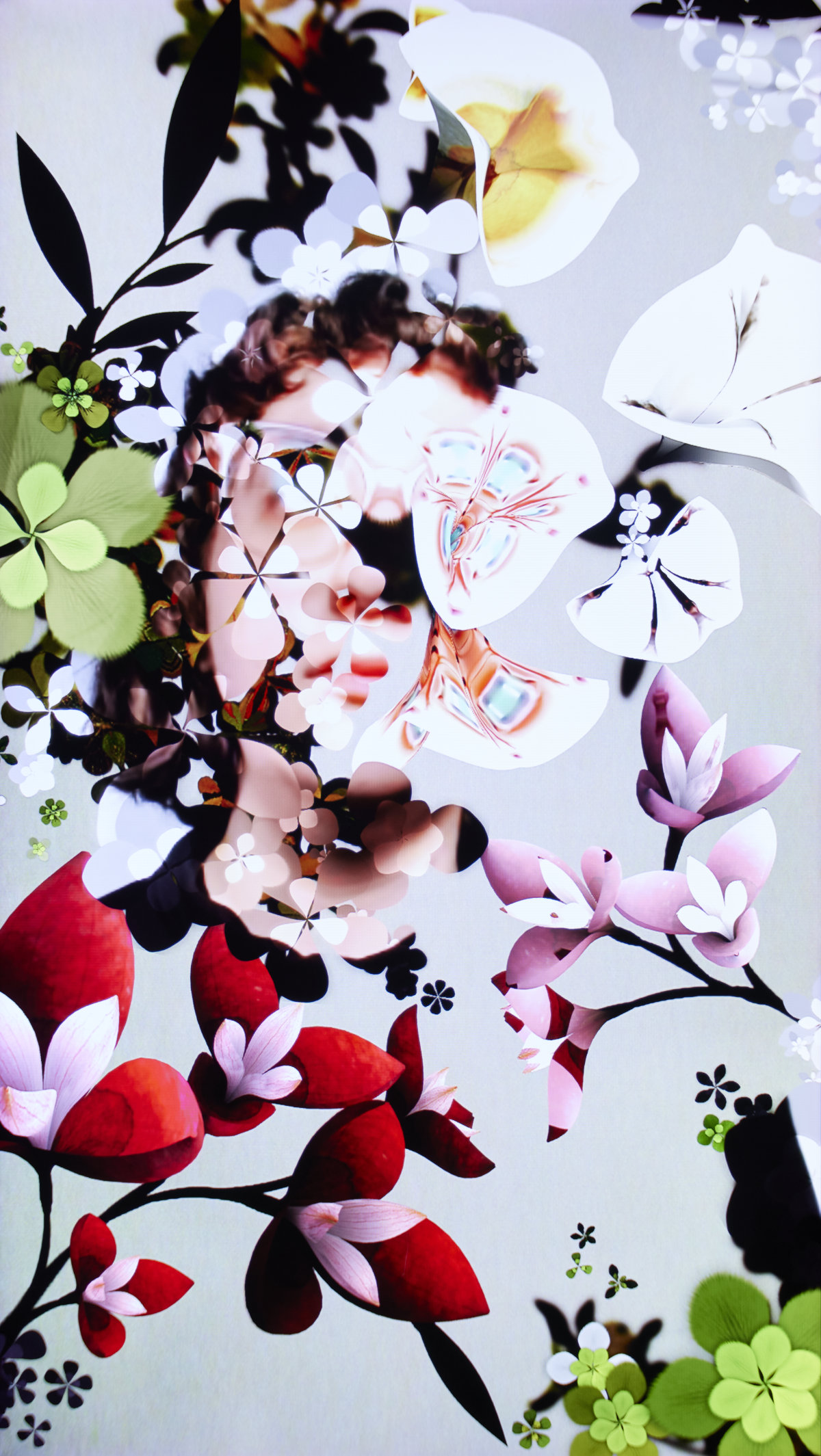 Biophilia Exhibition Guide | Denver Art Museum