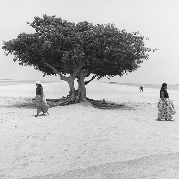 Anderman Photography Lecture: Flor Garduño | Denver Art Museum
