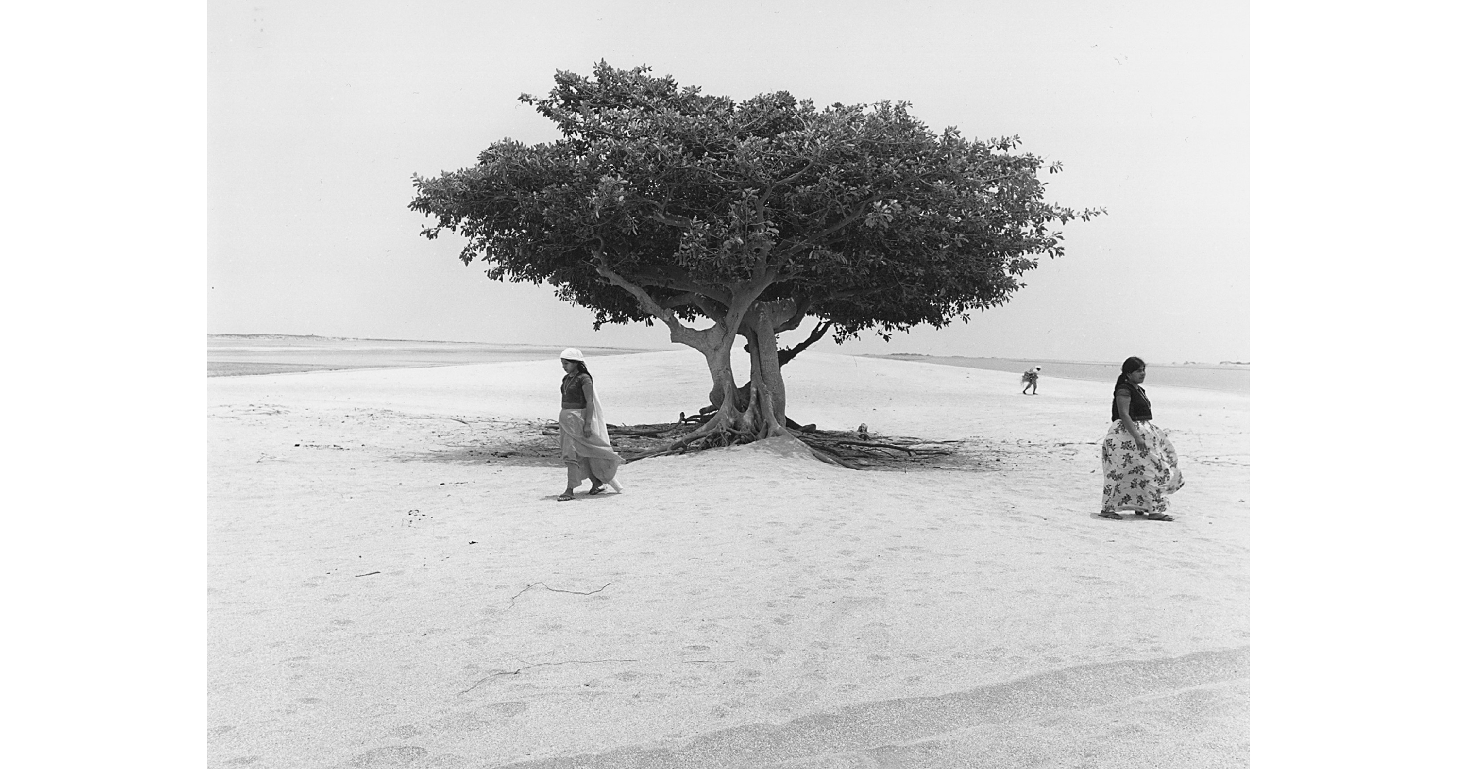 Anderman Photography Lecture: Flor Garduño | Denver Art Museum