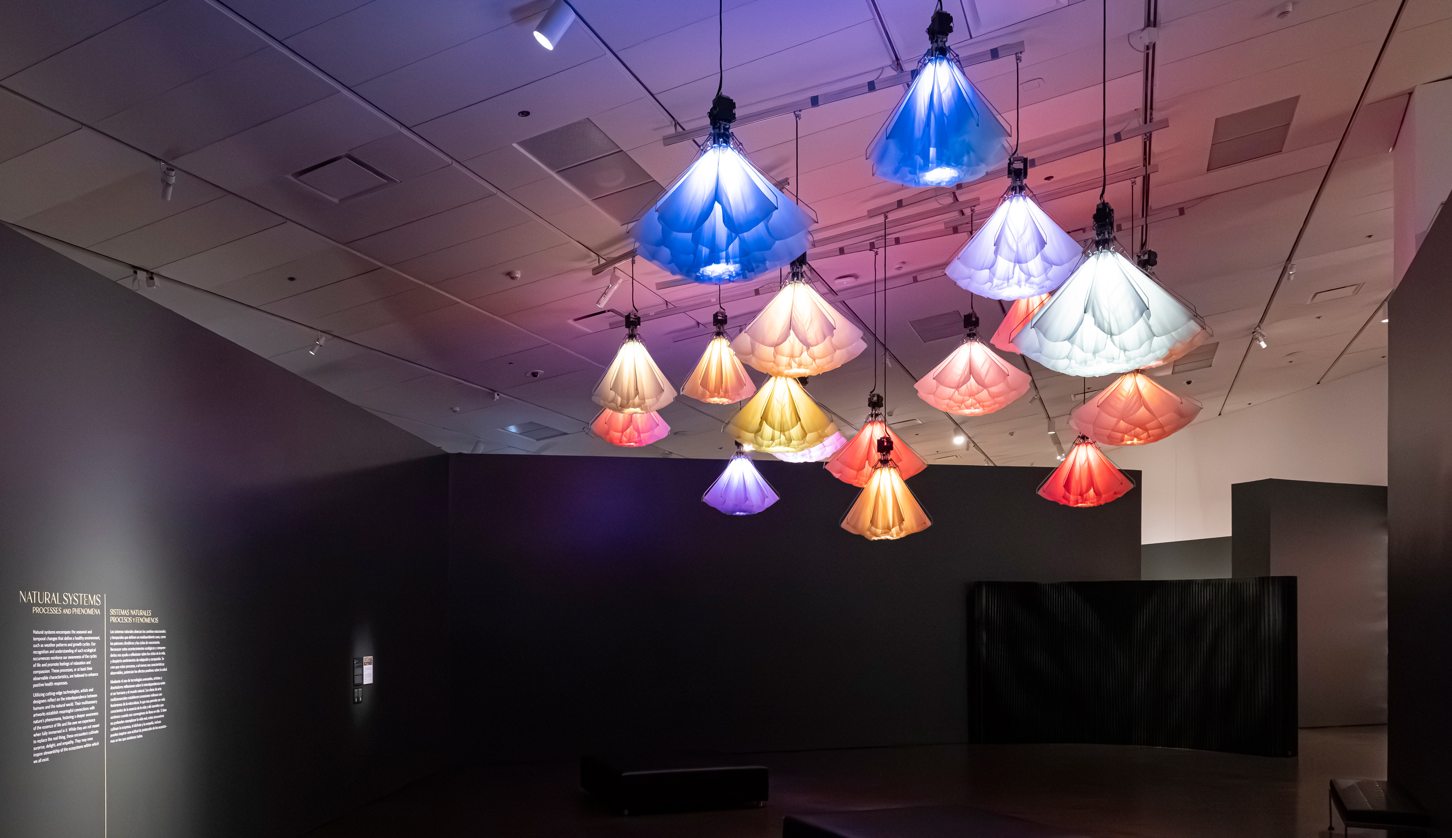 Creative Aging | Denver Art Museum