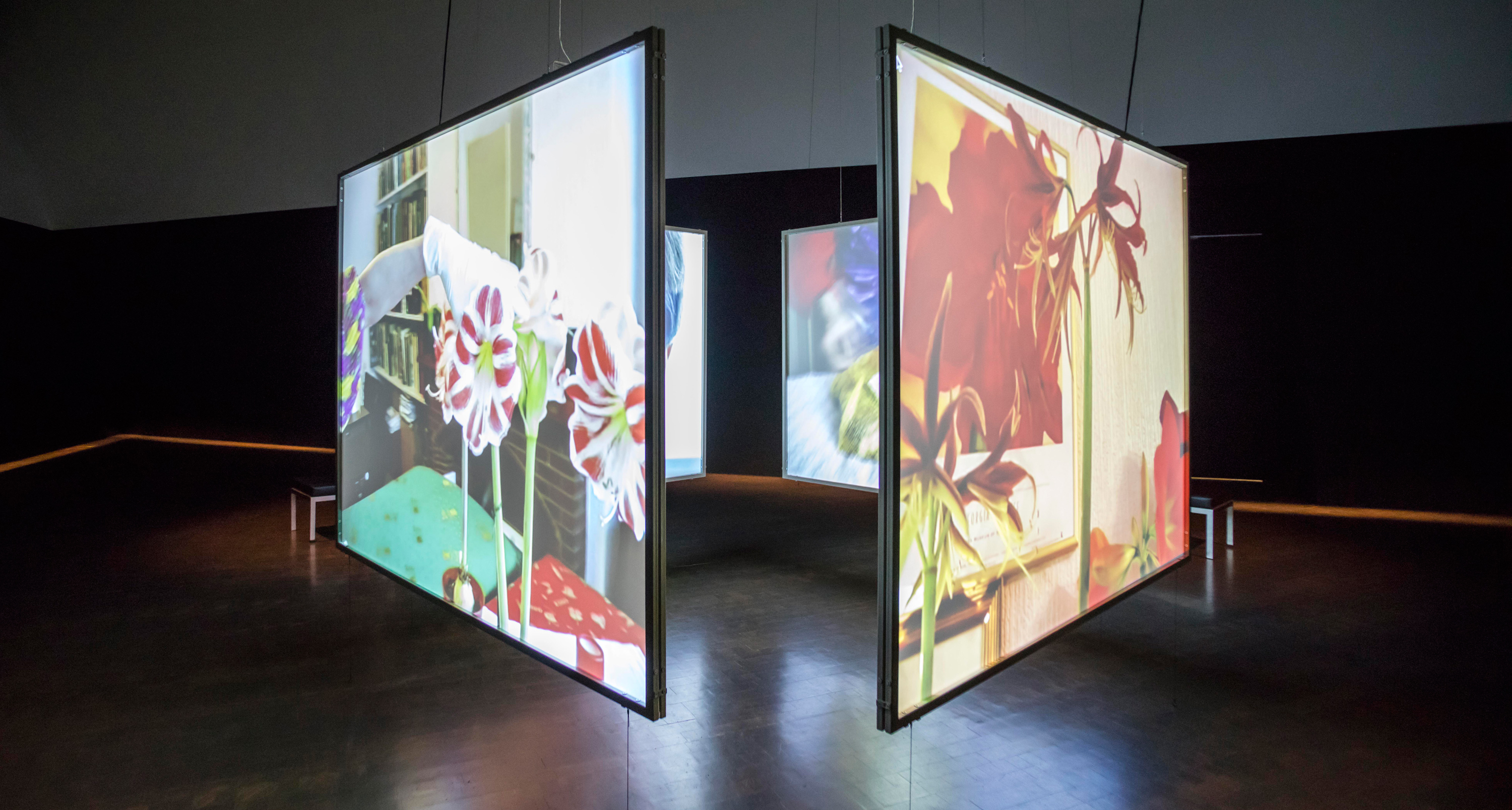 Fuse Box Series | Denver Art Museum