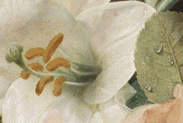 6 Tips for Delighting in the Details in In Bloom | Denver Art Museum