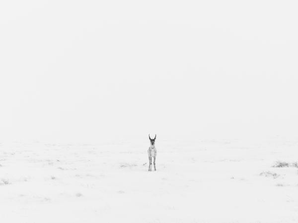 Alec Soth | Denver Art Museum